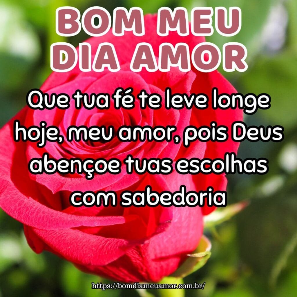 Frases de bom dia meu amor: Deus abençoe seu dia